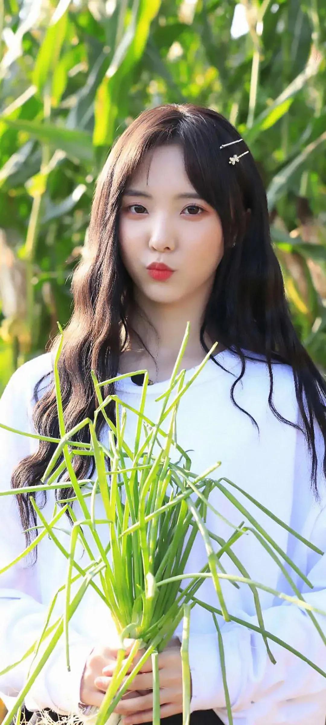 Zheng Naixin's full screen mobile wallpaper - iNEWS