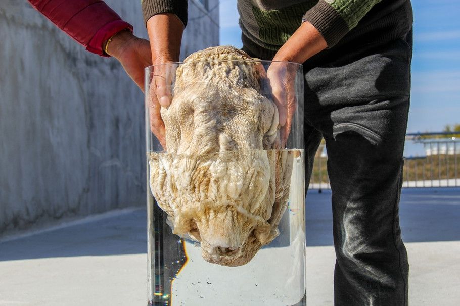 Ningxia man accidentally picked up Tai Sui at a high price. His family ...