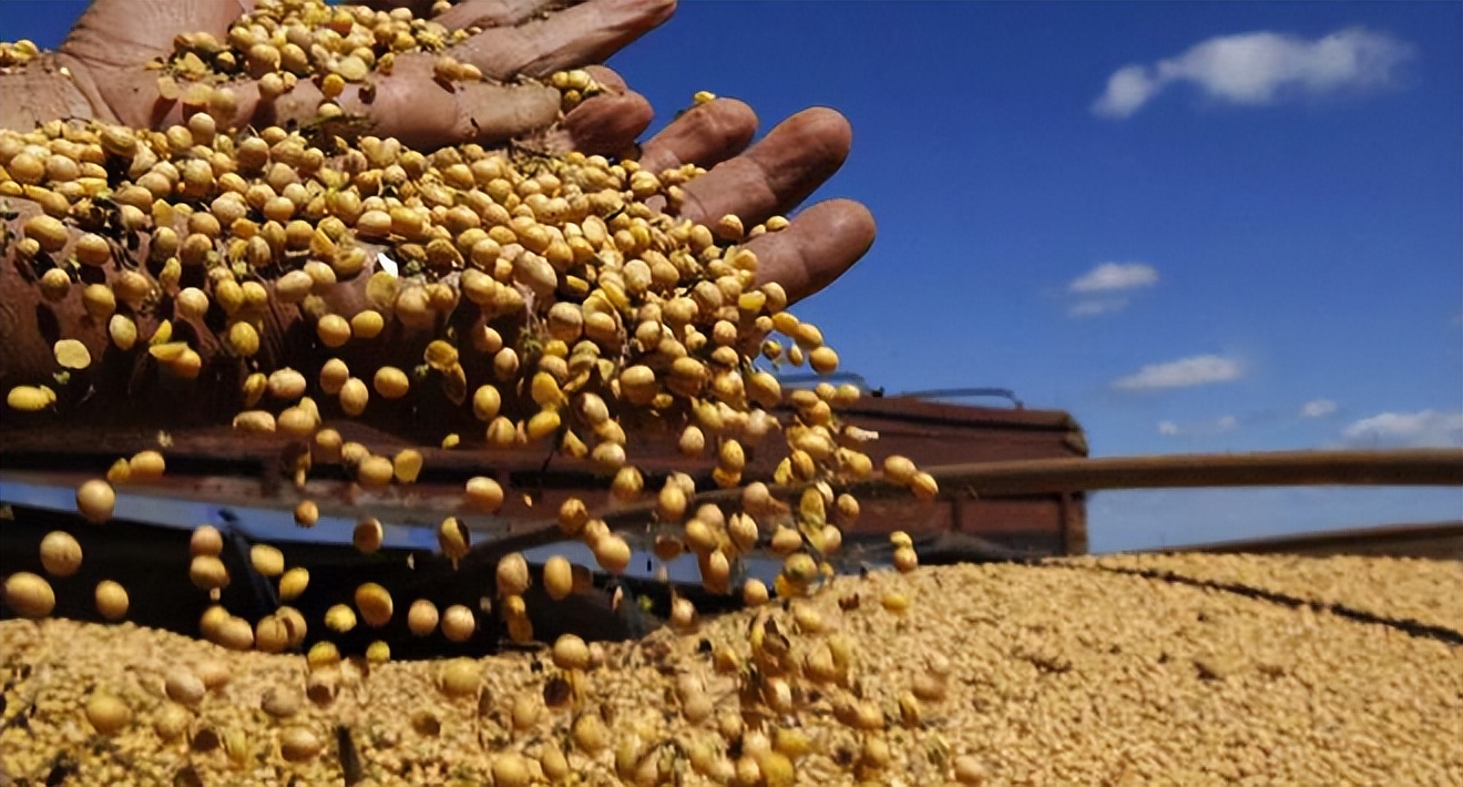 Inventory of the world's famous grain merchants - iNEWS
