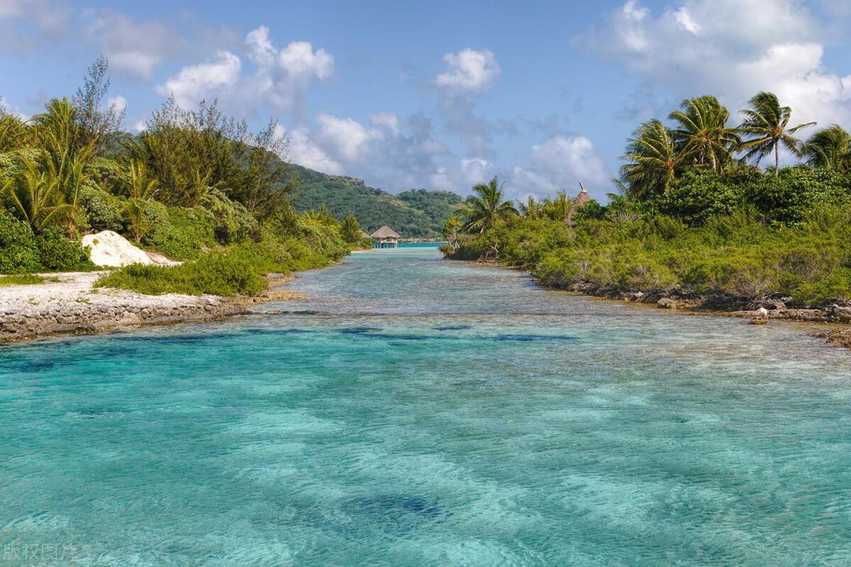 Polynesia at War: The Battle of Fire and Sea Between the Islands - iNEWS