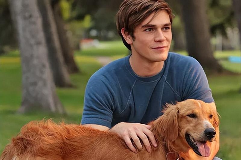 An analysis of the human and animal nature of the movie "A Dog's ...