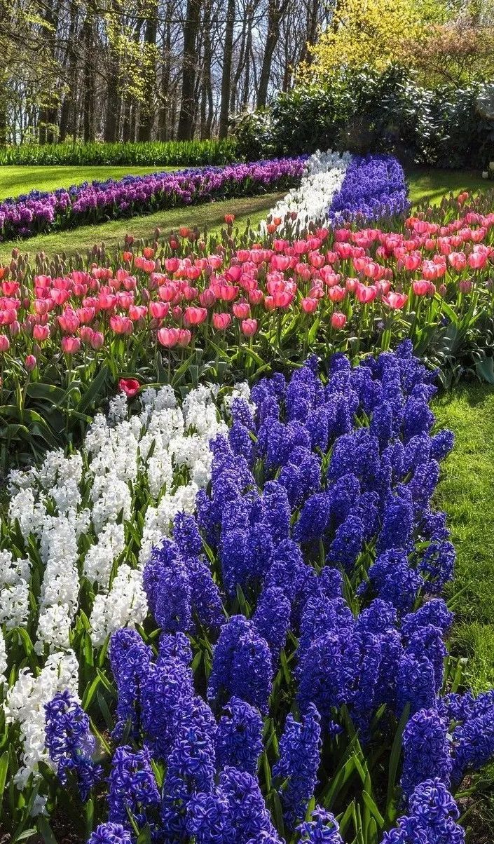 6 Arrangement Principles of Garden Plants - iNEWS
