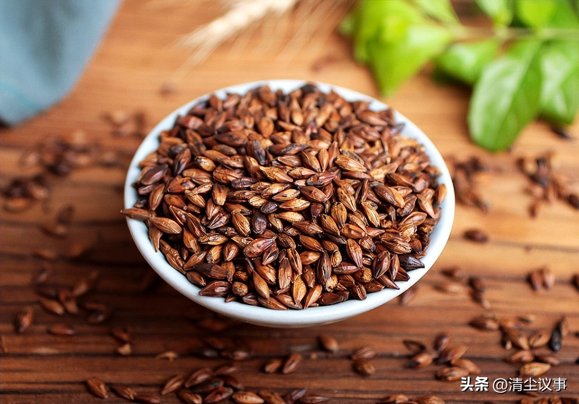 Barley Tea: Discovering the Charm and Benefits of the Ancient Drink - iNEWS