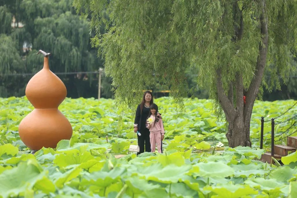 [Le Tour Shidian] Yaoguan: Wild Duck Lake opens play mode - iMedia