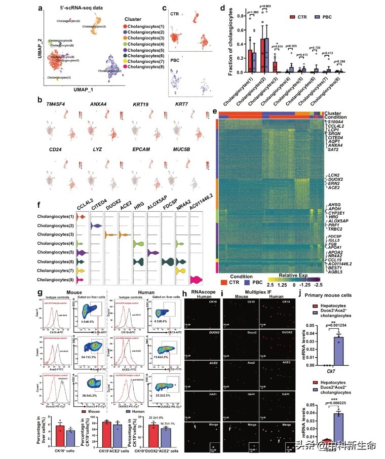 Blood 4D-DIA Proteome Project Article NC (IF 17.69) - iMedia