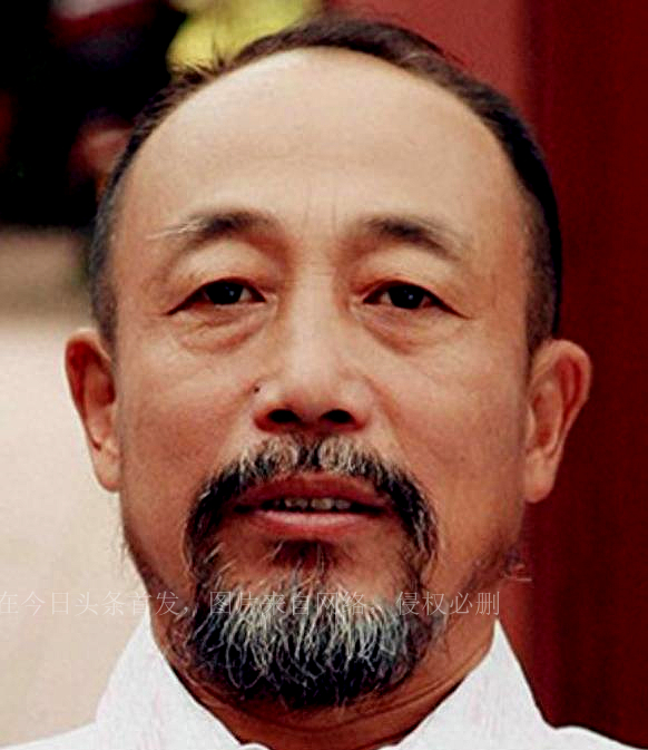 Review: Facts have proved that Sun Haiying, who immigrated to the ...