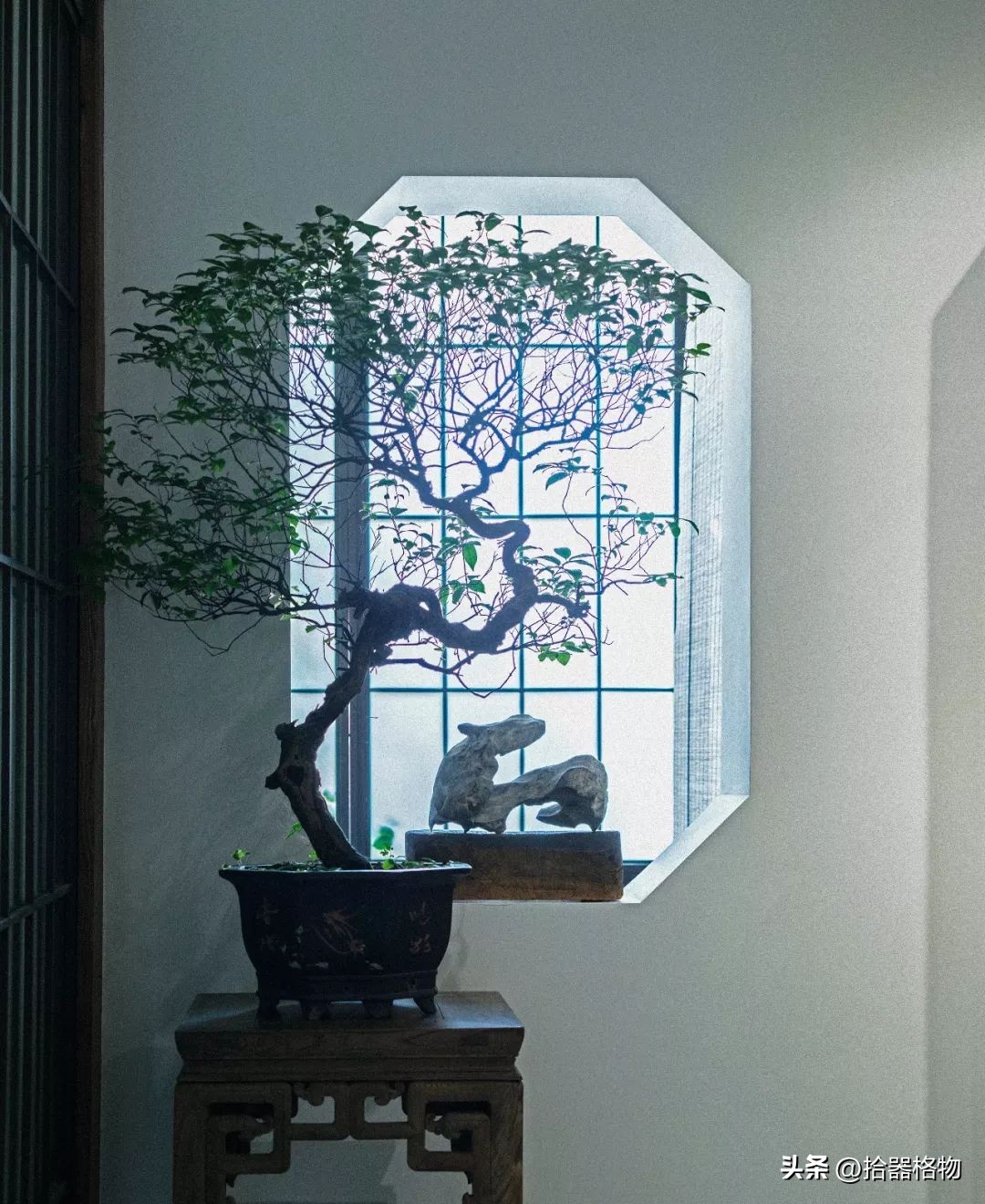 art of display - iNEWS
