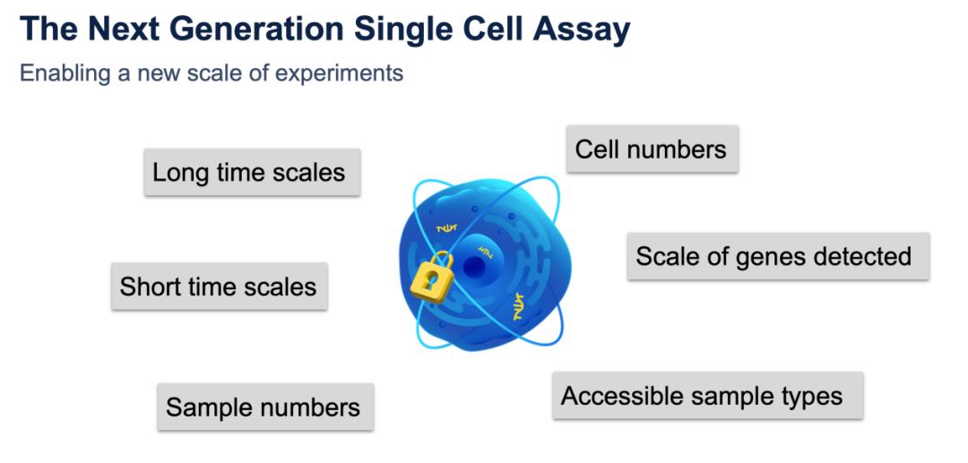 Single-cell sequencing, why choose 10x Genomics? - iNEWS