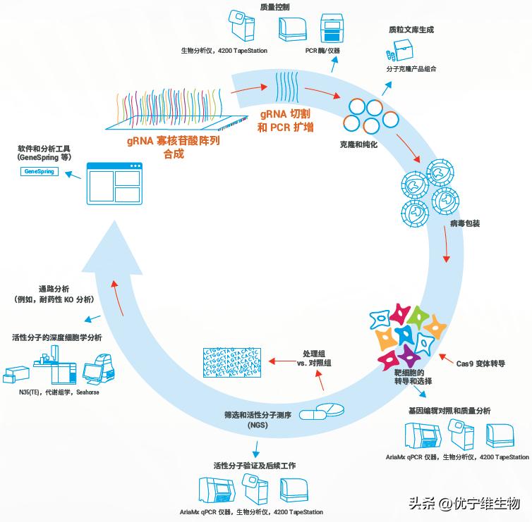 SurePrint Oligonucleotide Library——Exclusive Customization, Variety of ...