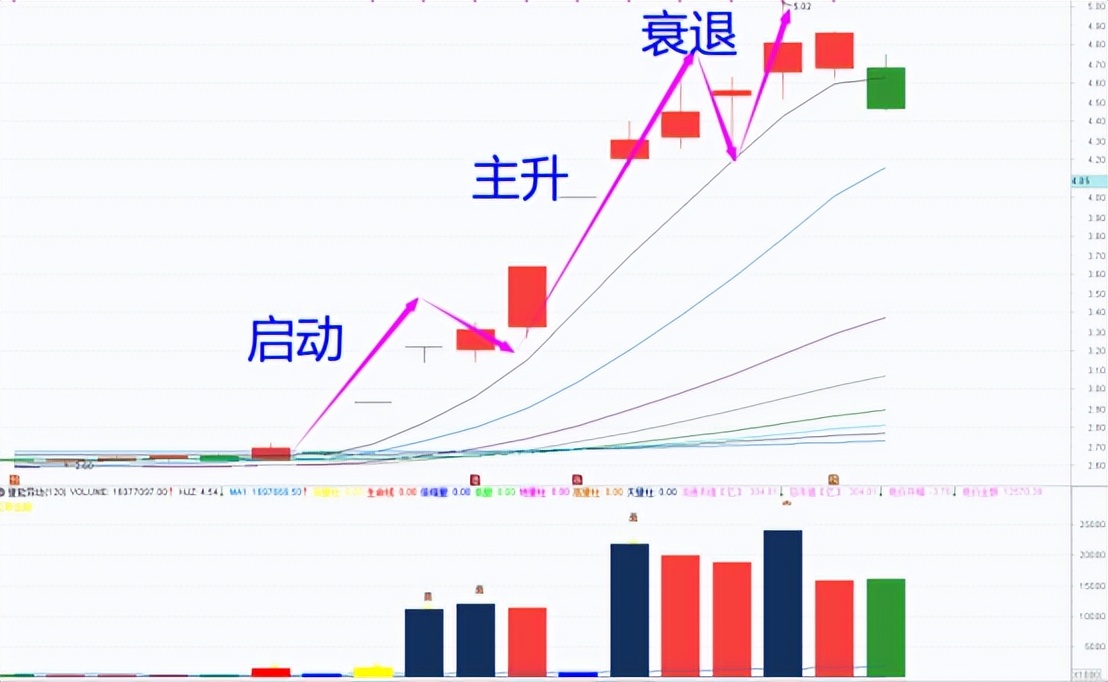 Pacific cycle division (0808) - iNEWS