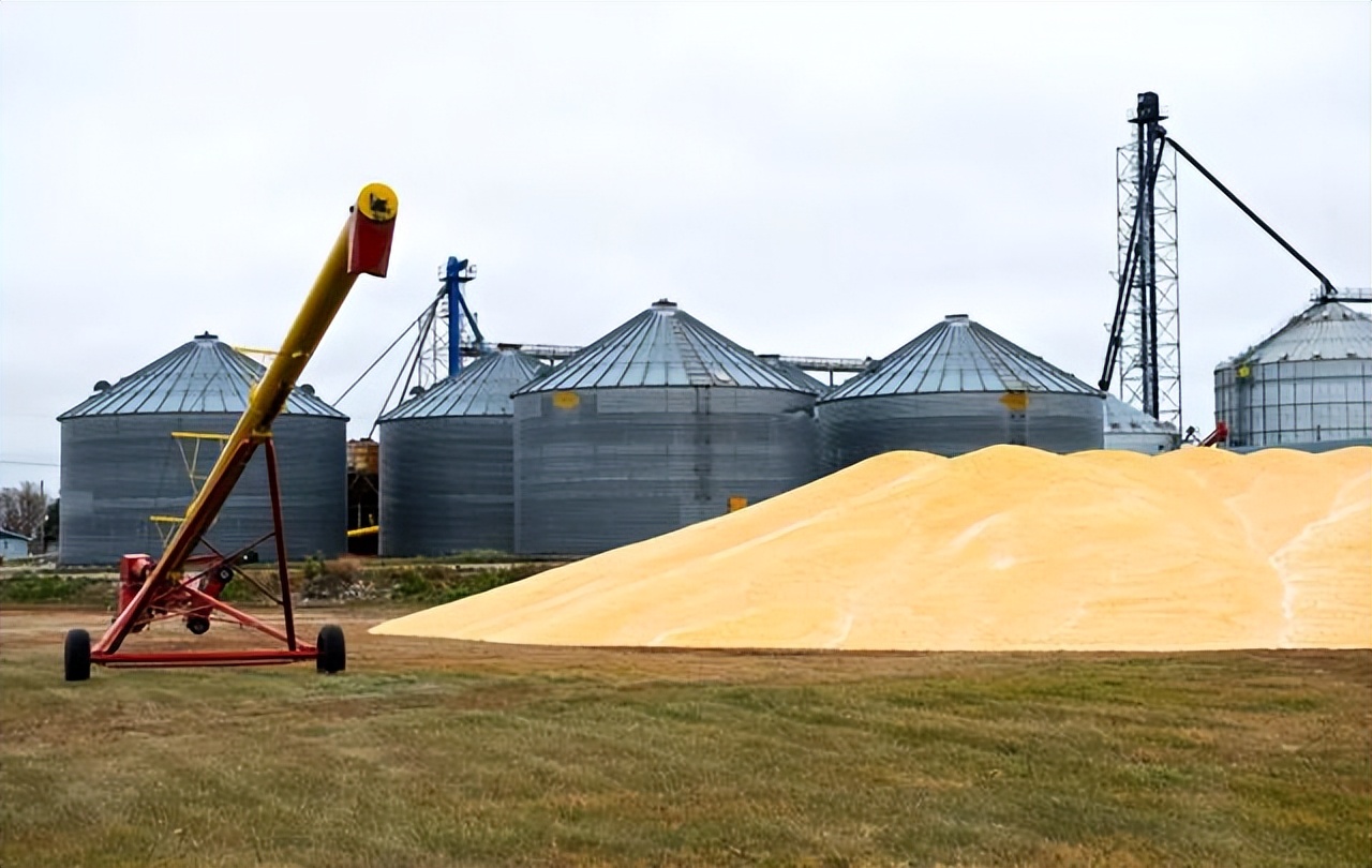 China has built the world's largest grain depot with a storage capacity ...
