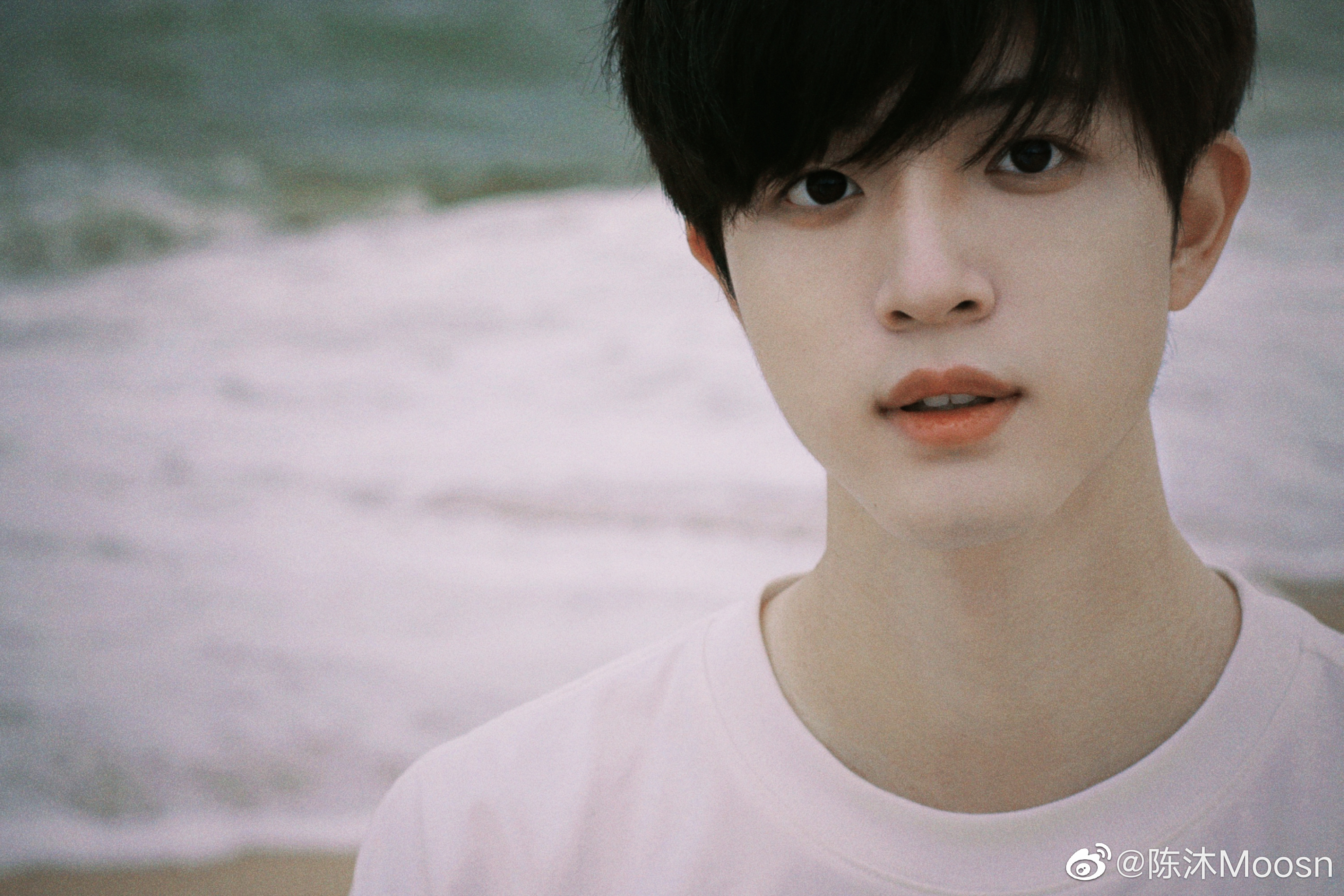The best friend next door, junior brother Chen Mu, Feng Bing Yi Xia ...
