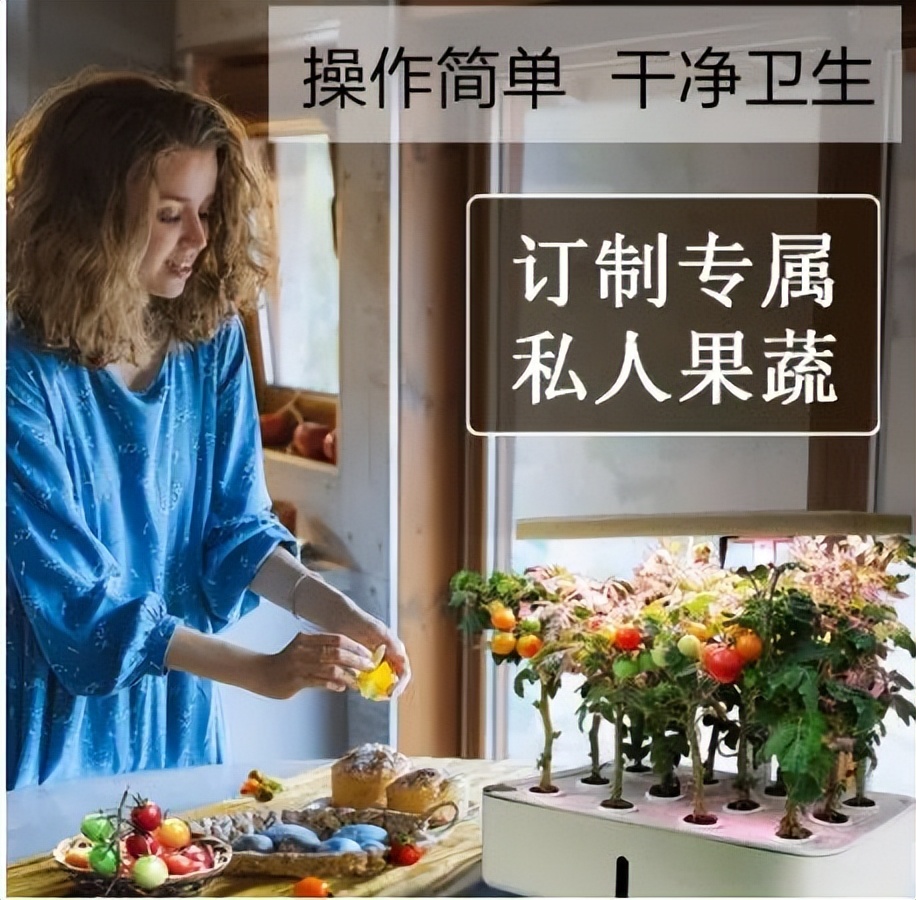 Shanghai people "hoard" tinder vegetable machines and pre-made ...