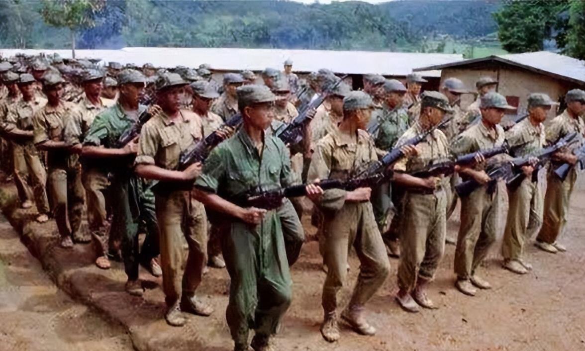 Why did the remnants of the army who escaped to the Golden Triangle ...