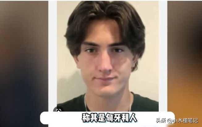 Gu Ailing's boyfriend's identity was stripped and he was studying at ...