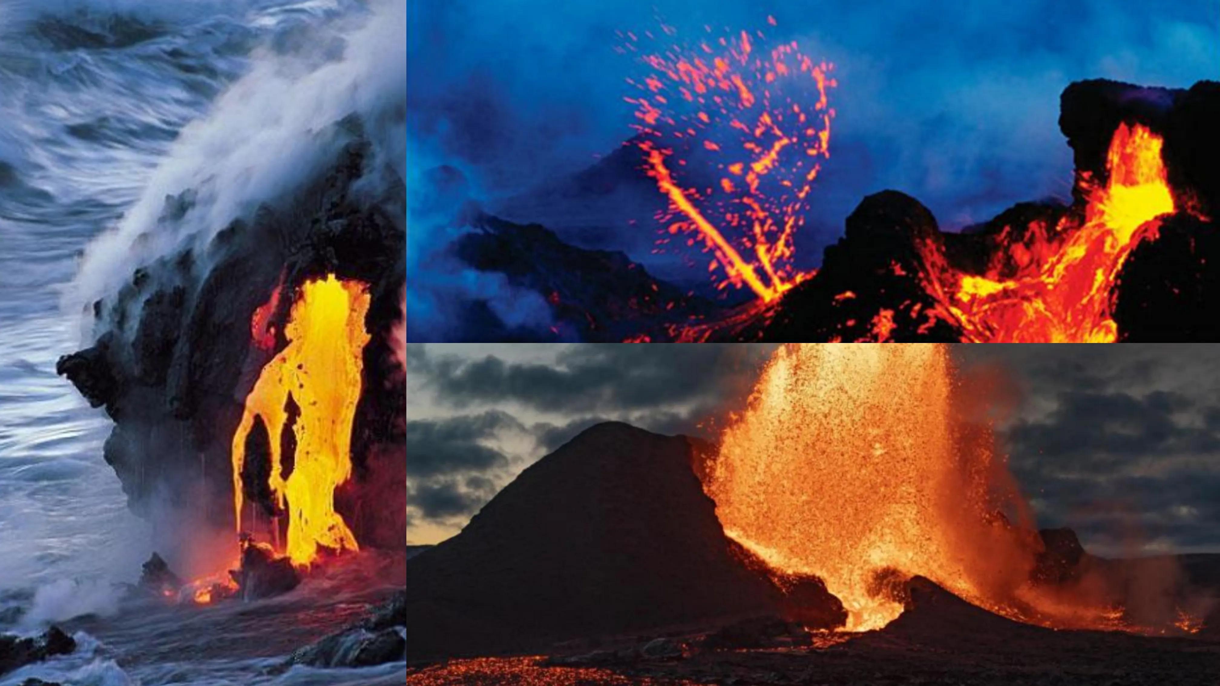 In what form might humans become extinct in the future? - iNEWS