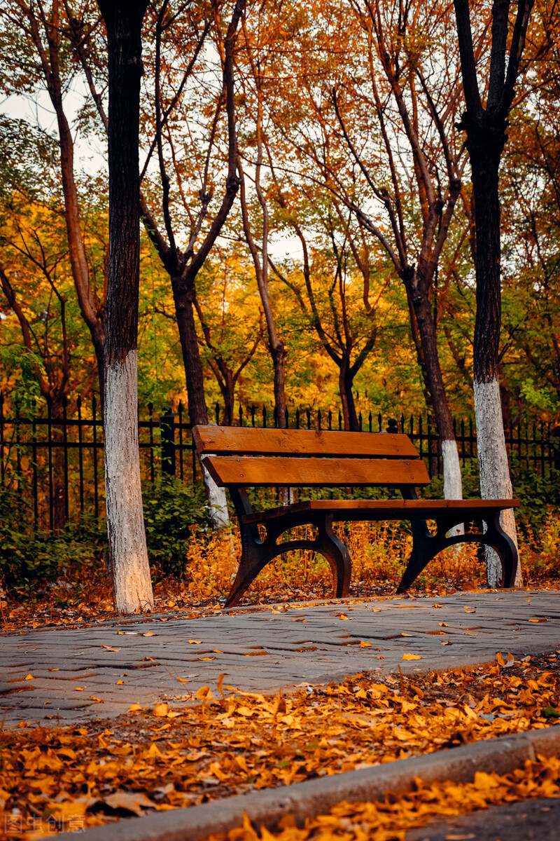 "Wei Yang Music Court" Ms. Li Hongbin's 15 San Songs - iNEWS