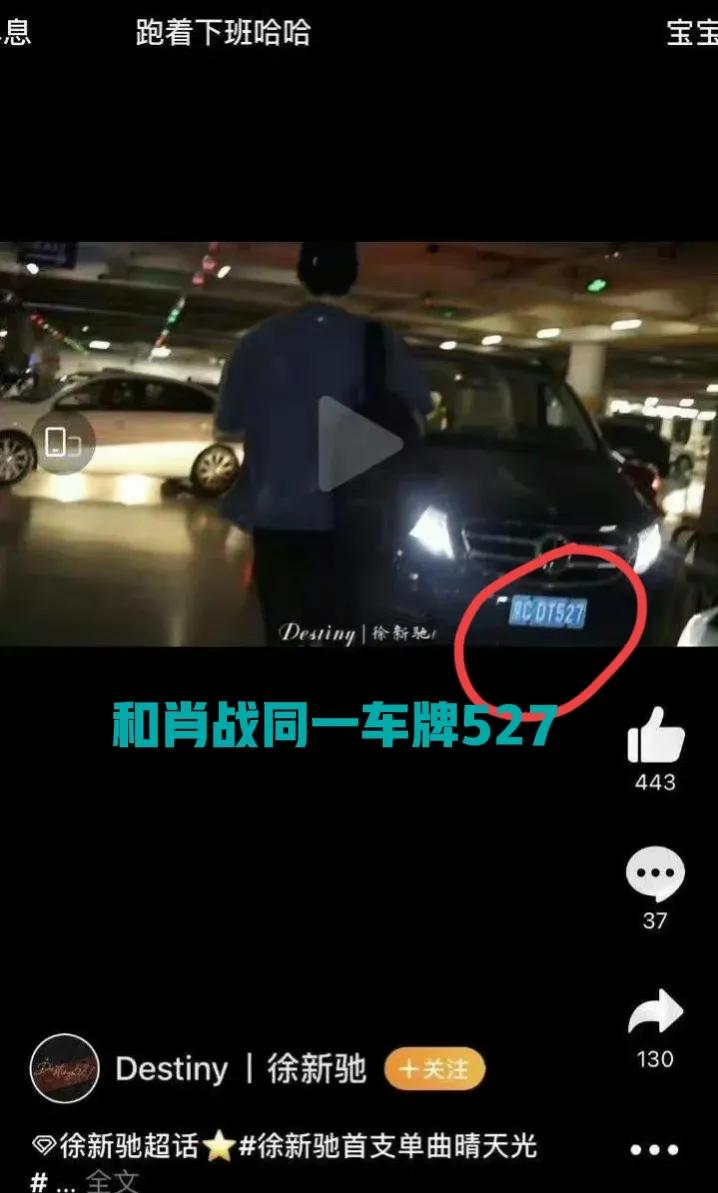 Xiao Zhan and Yang Zi's car rental incident airborne hot search, seeing ...