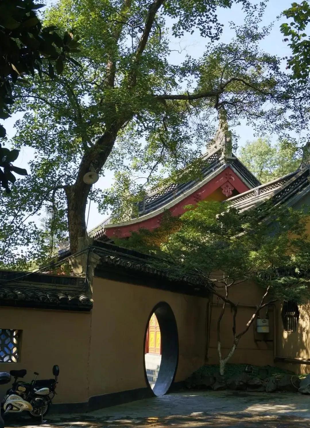 Seeing the world: The result of Xuanzang Temple in Nanjing shows us ...