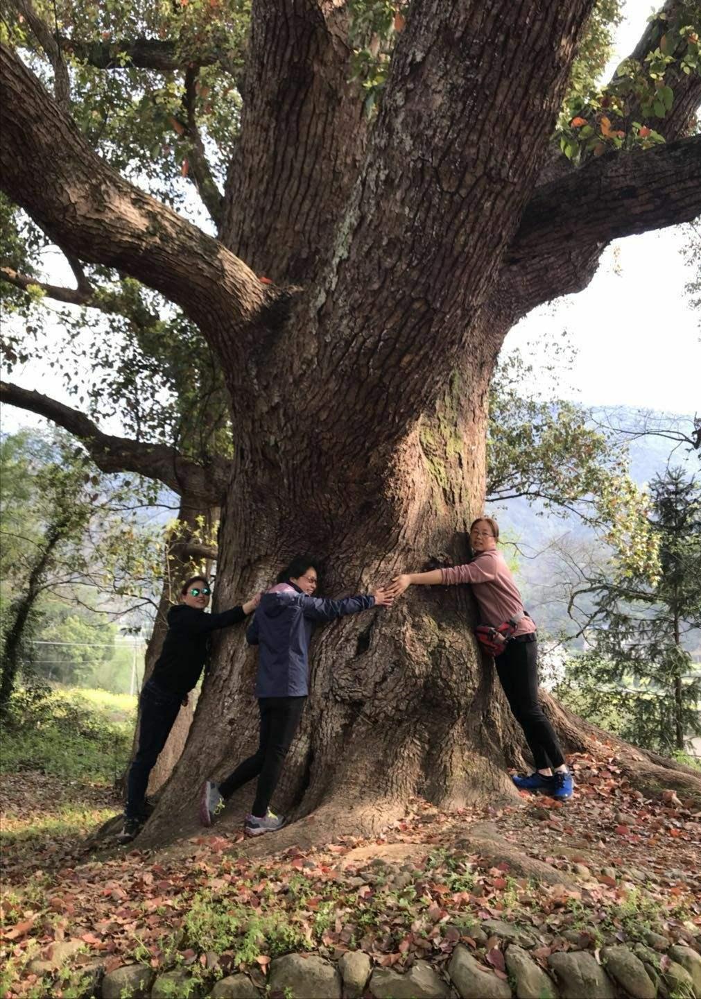 How to grow from small to big? From big to strong? Remember these four ...