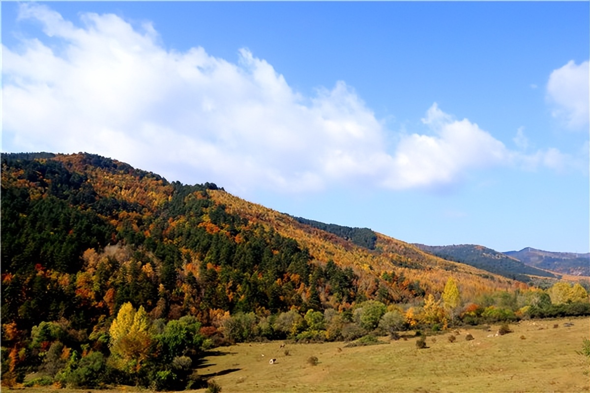 These are the seven unique moods of autumn in Shanxi, each of which is ...