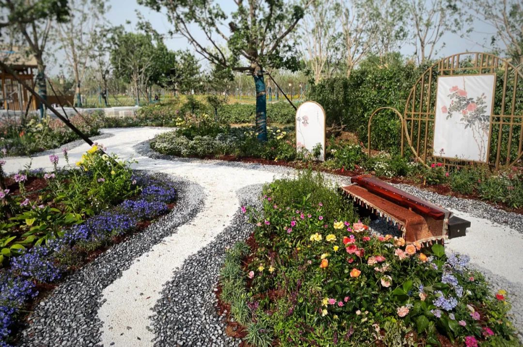 Rose, rose, 5000 roses! - iNEWS