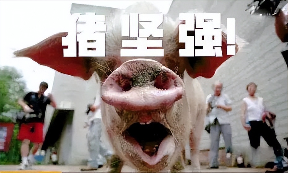 Fifteen years ago, the "pig strong" who was buried for 36 days in the ...