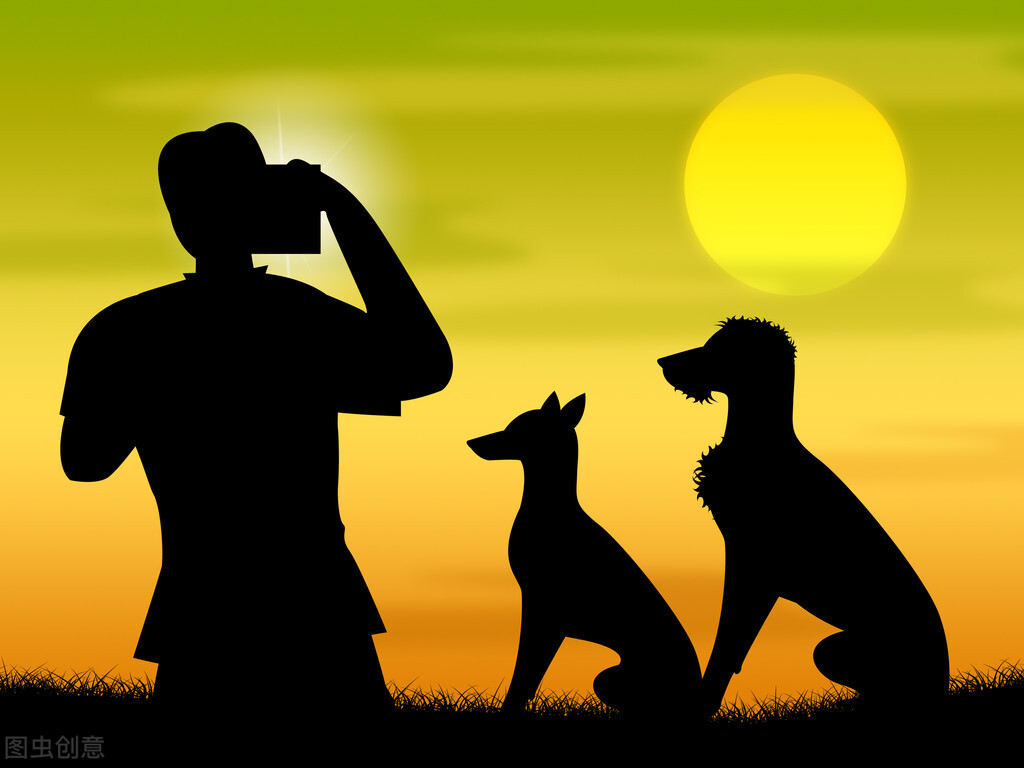 How To Judge Whether The Dog Is Happy What Is The Normal Body How To Judge Whether The Dog Is Happy What Is The Normal Body