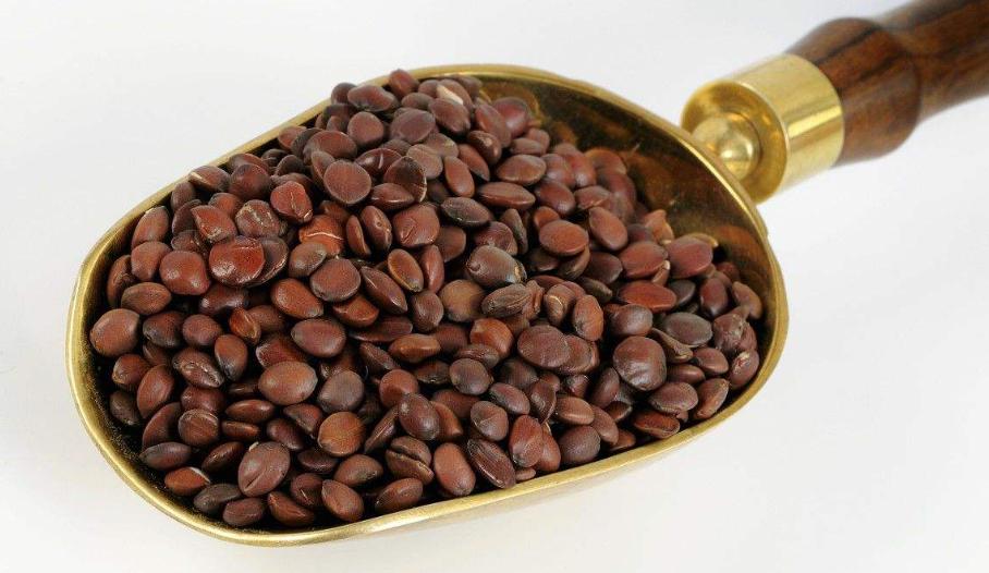 Properly eat acid, soften the liver and nourish the blood - iNEWS