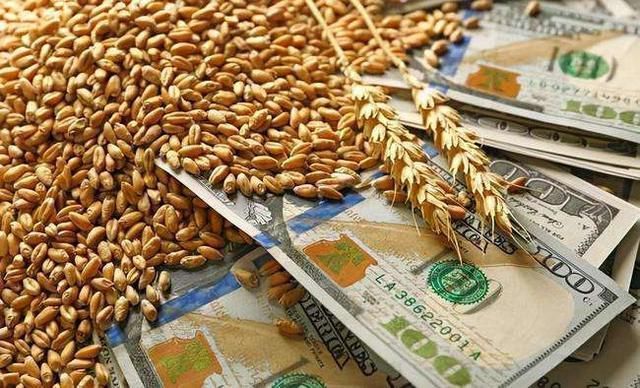 Food, Disasters and Society in India: Reflections on a Tomato Crisis ...