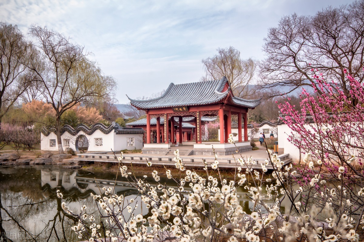 Why do the masters and servants of Ximen Qing's family love to steal in ...