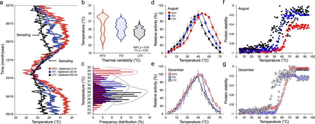Enzyme adaptation to habitat thermal heritage shapes marine microbiome ...