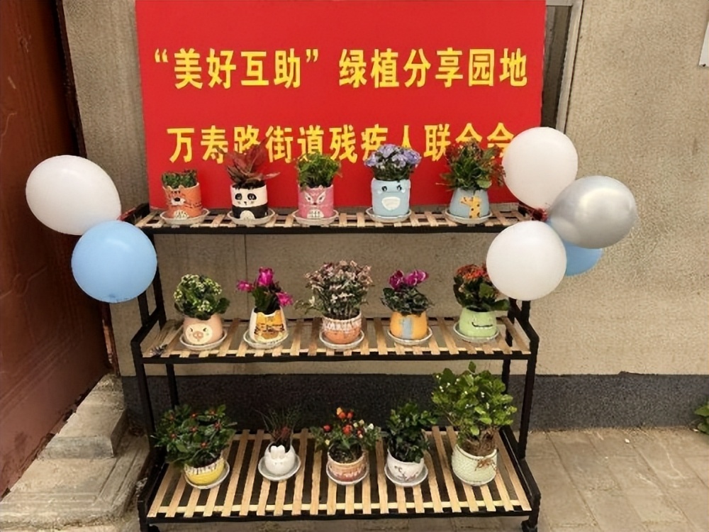 Pot planting sharing activities - iNEWS