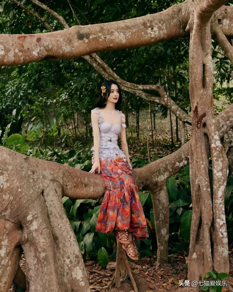 Recognizing characteristics of female stars: Zhao Liying's small feet ...