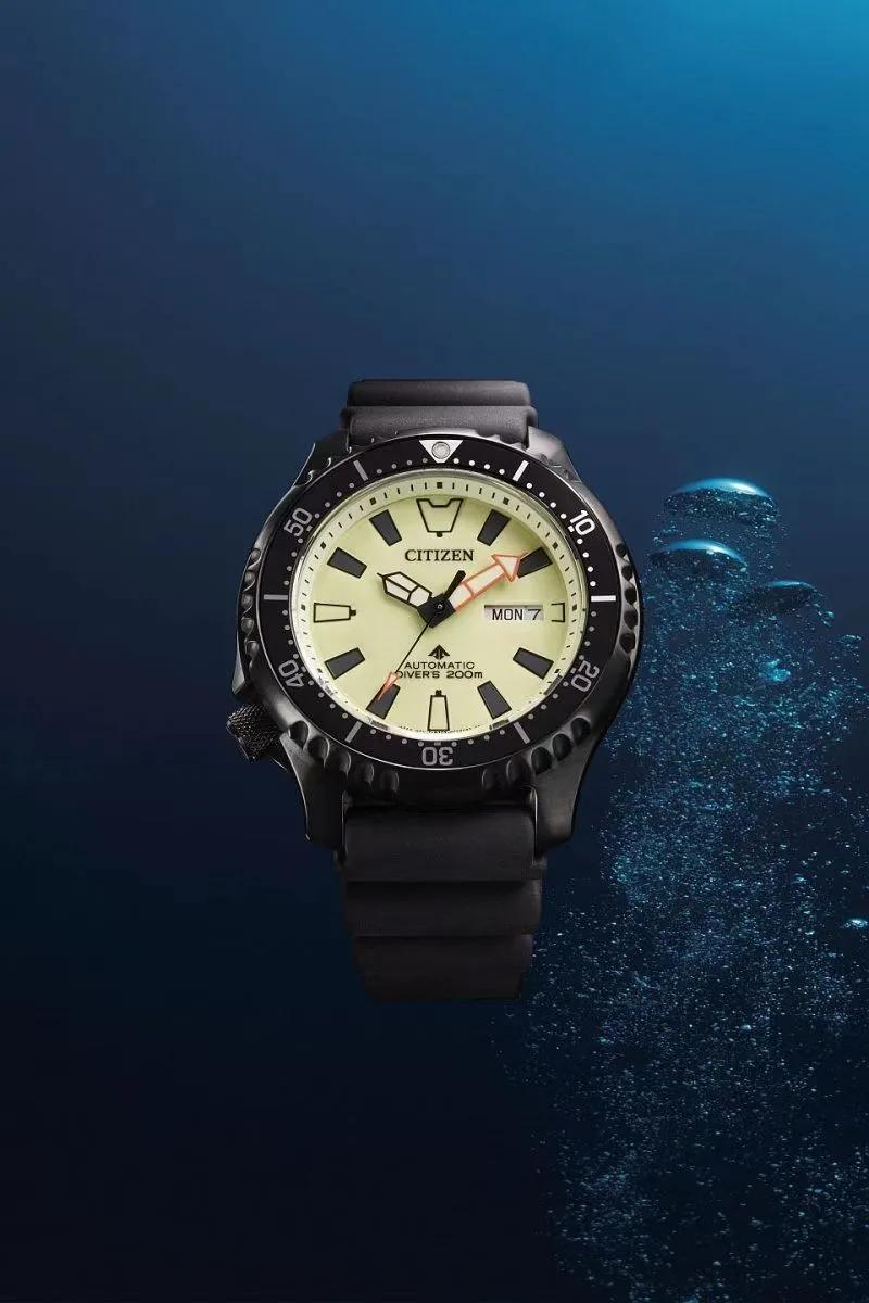 Steel puffer fish full "core" evolution: CITIZEN PROMASTER EX Plus ...