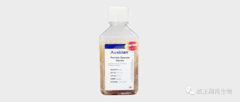 Digestive problems with adherent cells - iNEWS