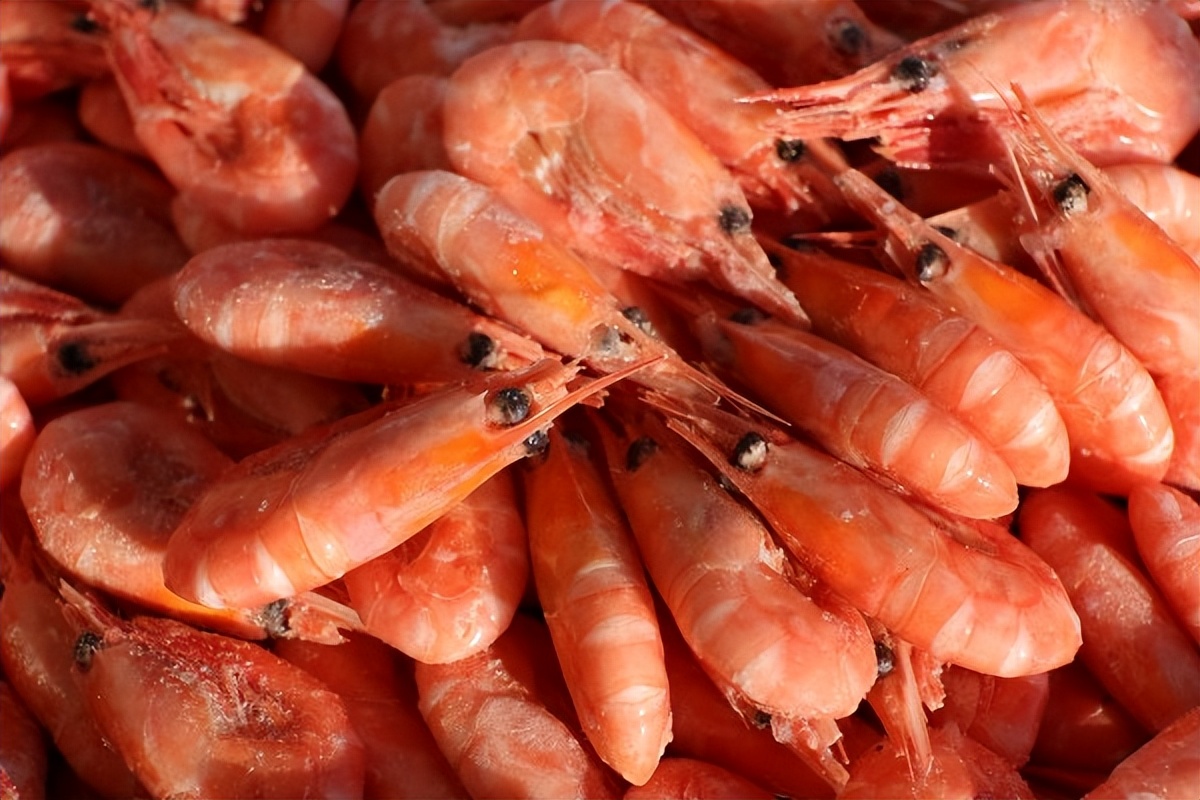 Great Shrimp for Kids and Pregnant Women - Arctic Sweet Shrimp - iNEWS