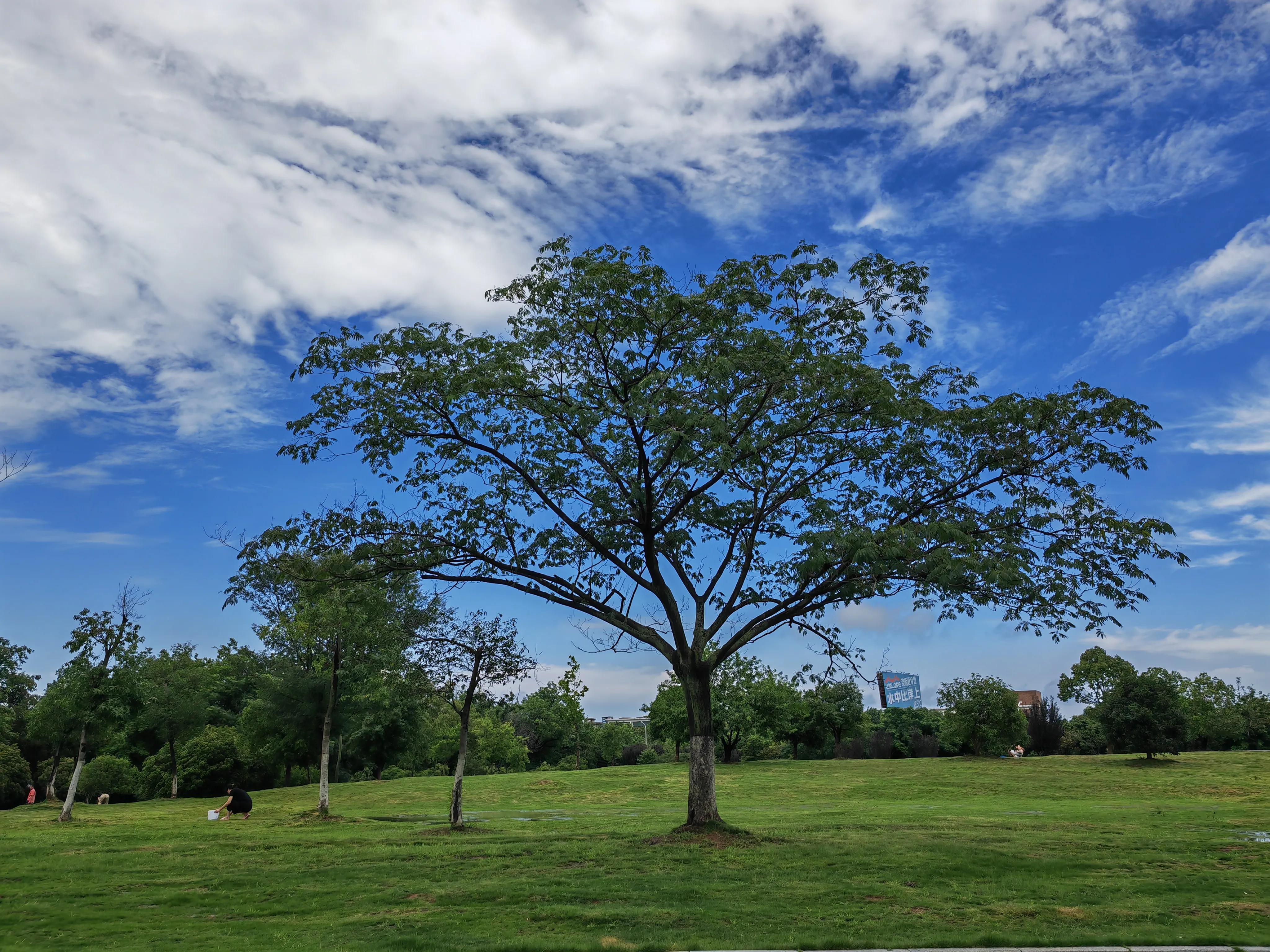 Where is the Bashang Grassland in Nanjing? Come, follow me to the ...