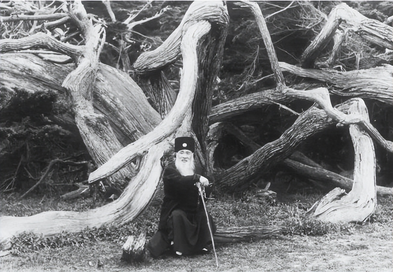 The Brazilian Green Ghost, Mysterious Creatures of the Amazon ...