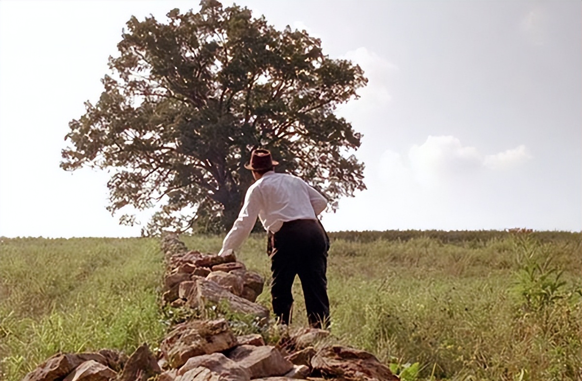 Analysis of the movie "The Shawshank Redemption" from the perspective ...
