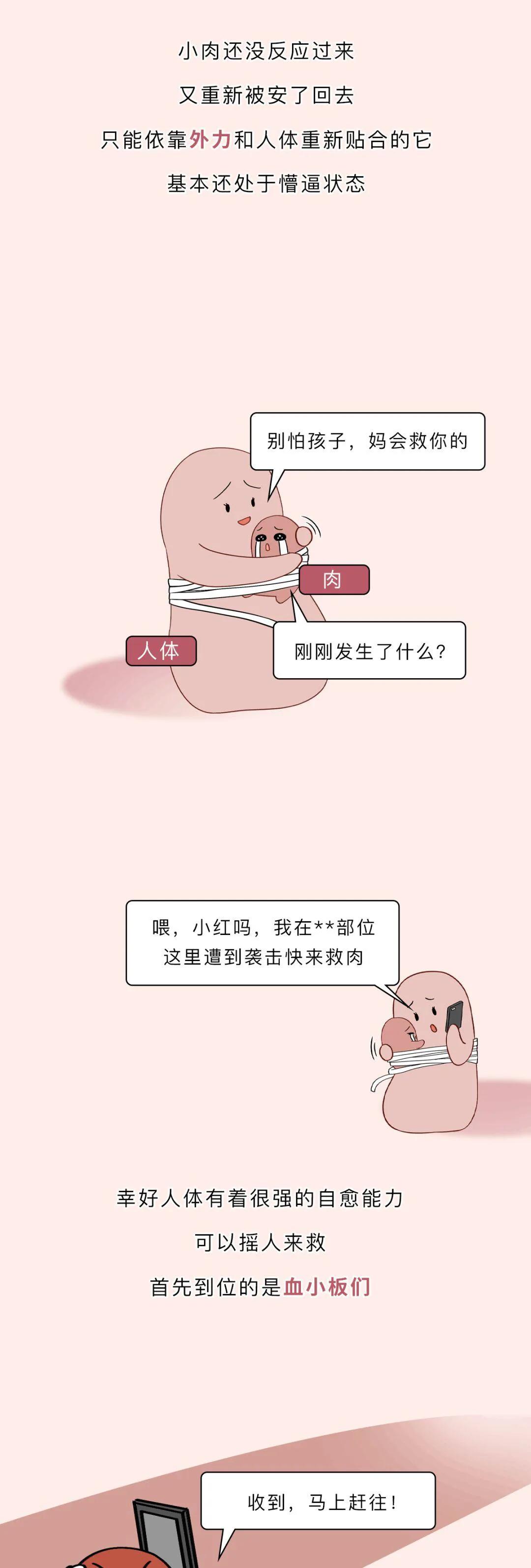 Is there a chance to grow back together the flesh cut off from the body ...