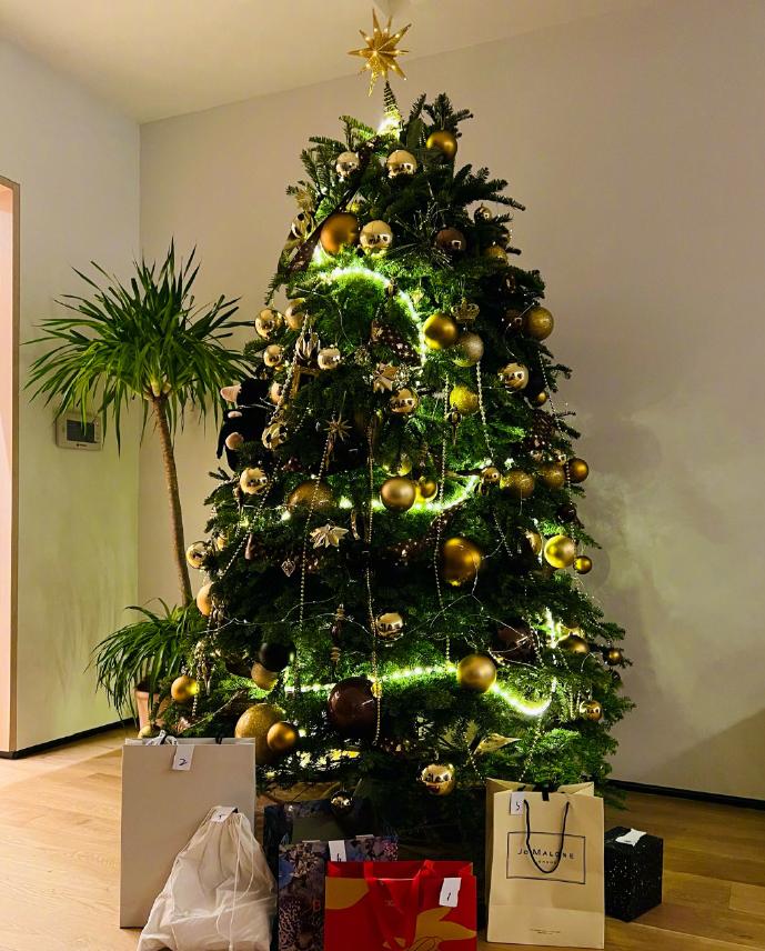 Michelle Chen, Jon Chen, Rainie Yang, Bibi Zhou's party, Bibi steals ...