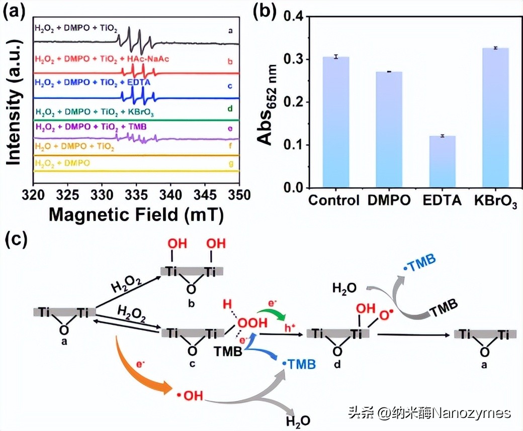 Light-conferring specific peroxidase-mimetic activity - iNEWS