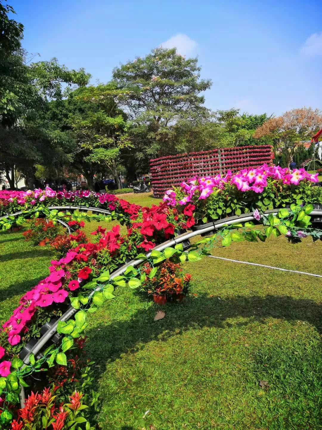 Taiwan Trip 26: Day and Night in Yuanlin Park - iNEWS