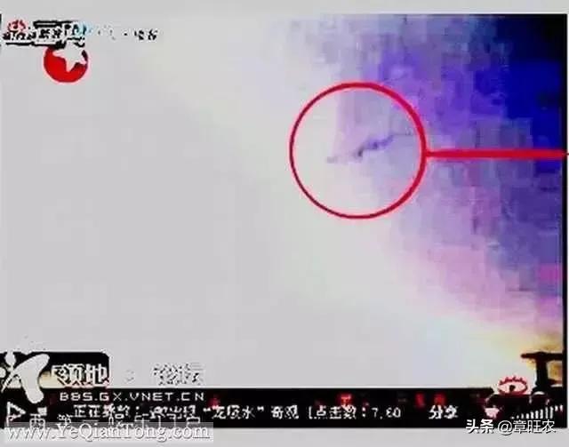 Water absorption by dragons is a natural phenomenon, but is this really ...