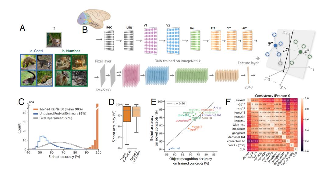 LeCun world model appearance! Meta's first "humanoid" model, self ...