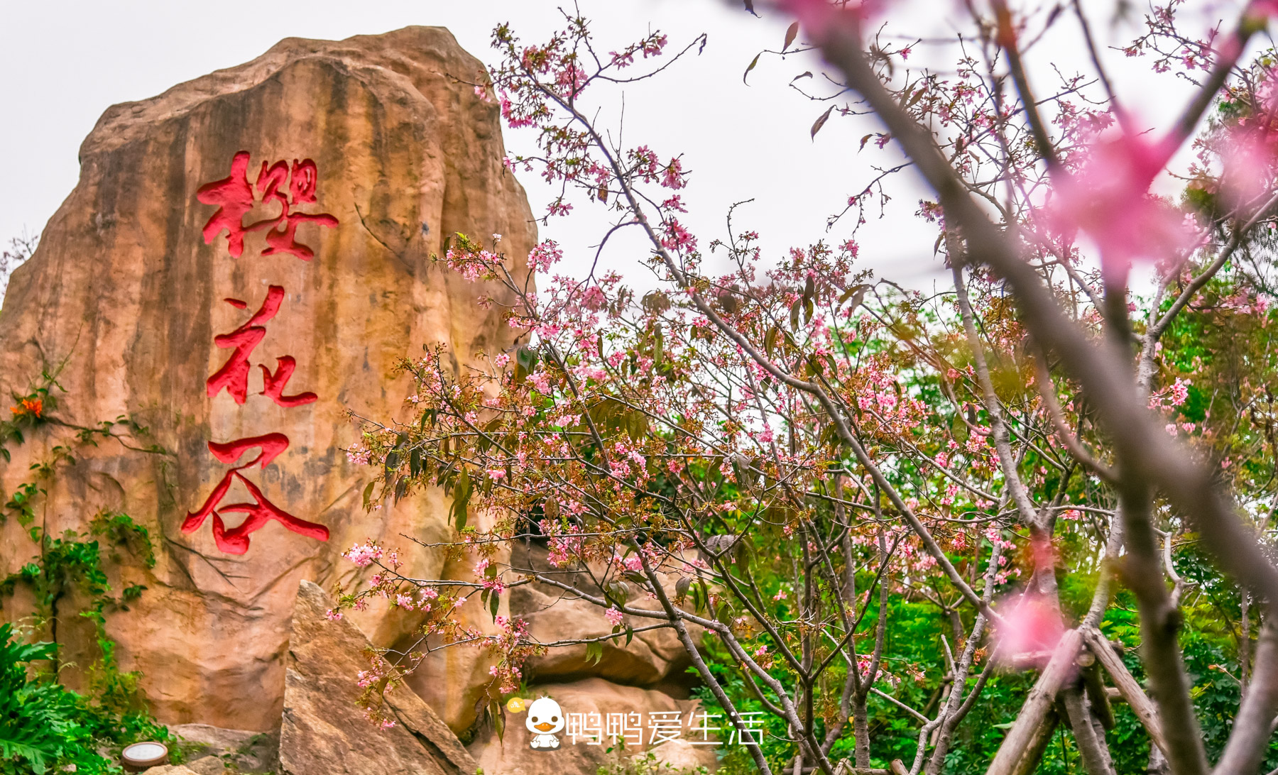 Xiamen Daping Mountain Country Park is also worth visiting after the ...