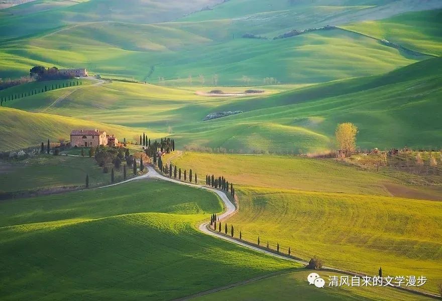 Shallow talk, light hurt, where should poetry go? - iNEWS