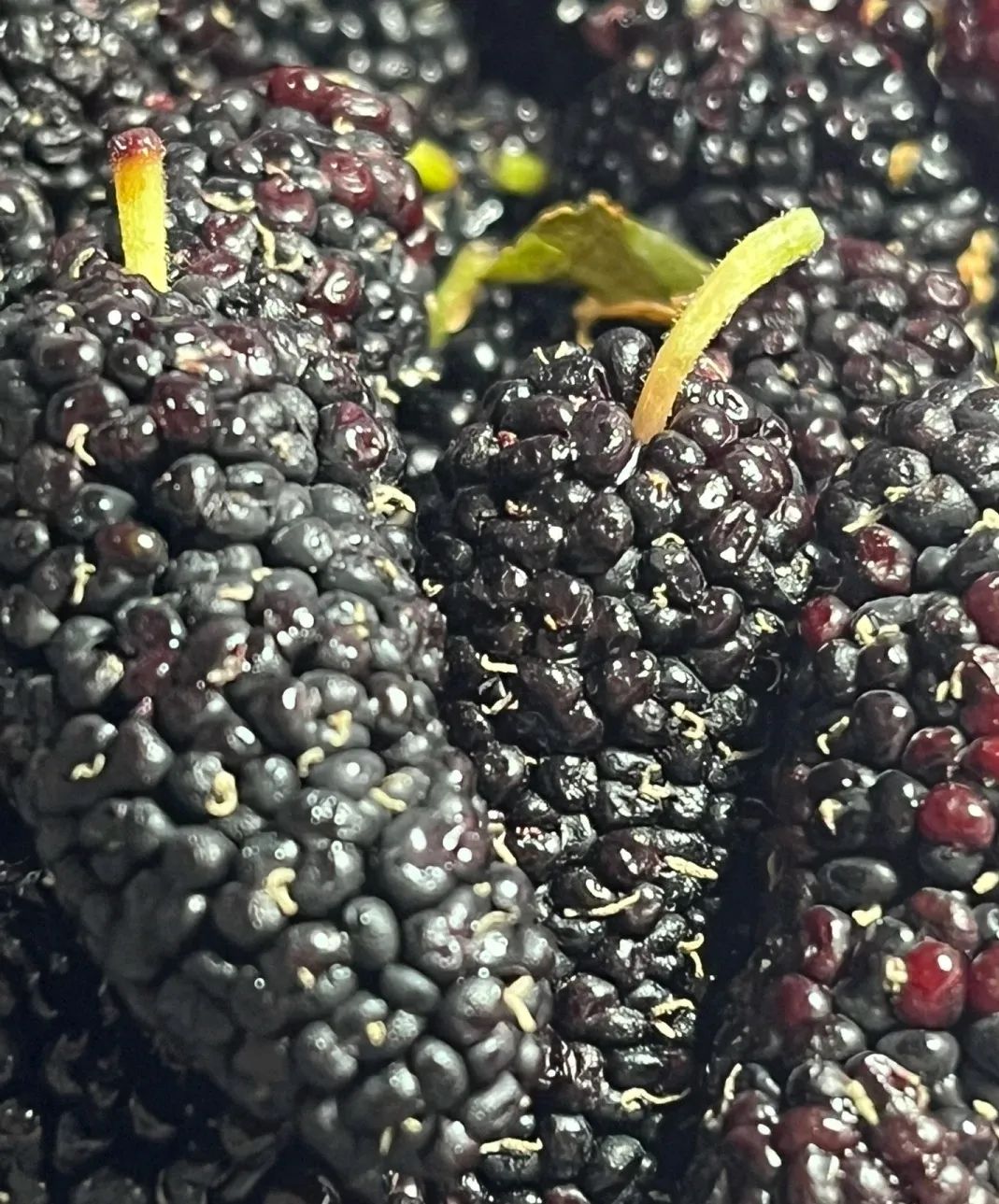 When washing mulberries, some people use noodles, some use salt ...