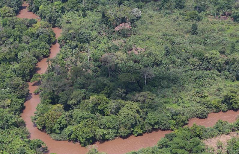 Geological conditions of the Congo Basin, impact on biodiversity and ...